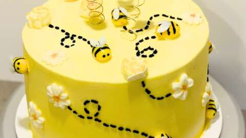 Bumblebee Ice Cream Cake (no ice cream maker required!) ~ Intensive ...