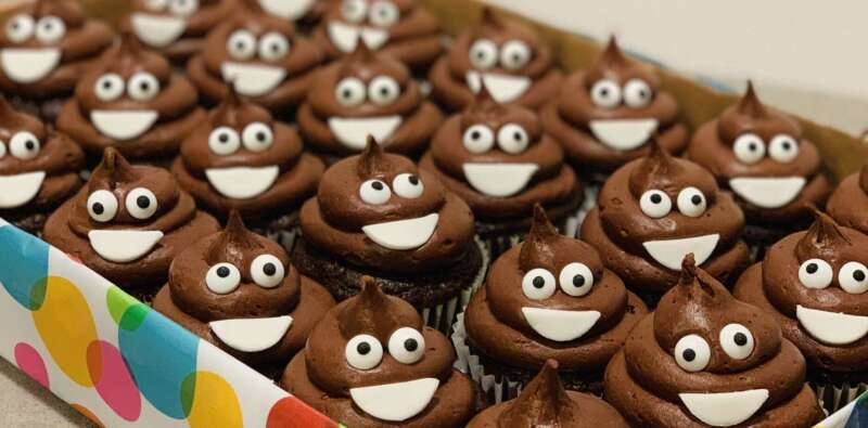 Poop Emoji Cupcakes ~ Intensive Cake Unit