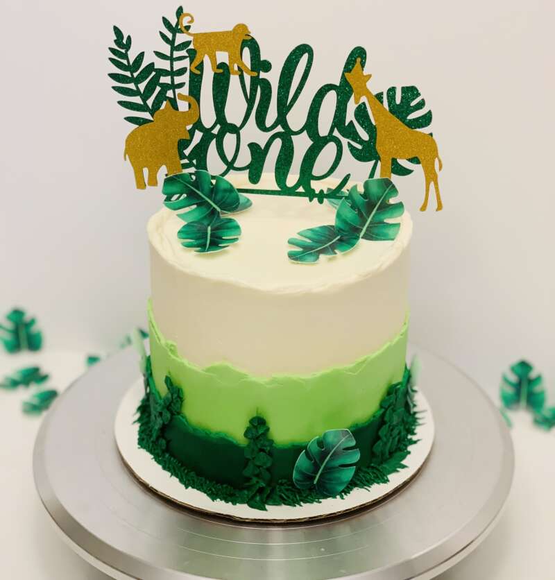 Wild One Smash Cake ~ Intensive Cake Unit