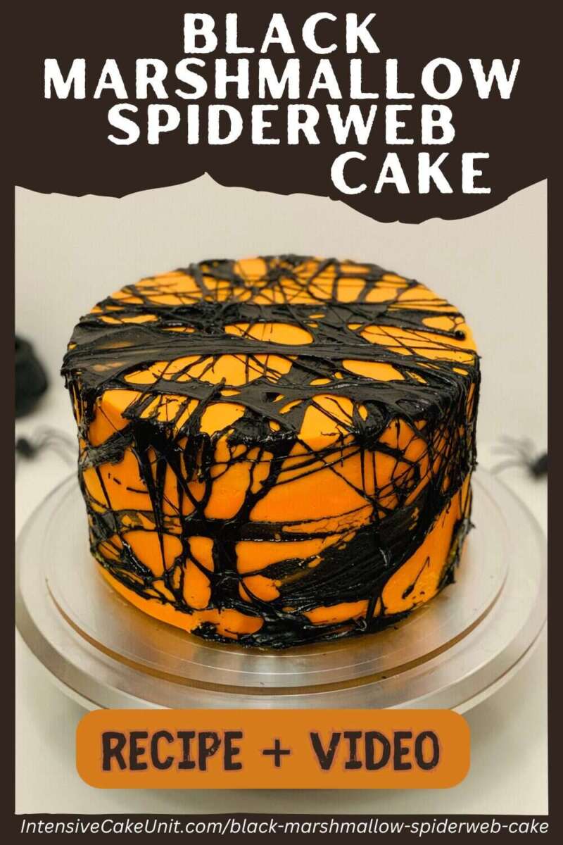 Black Marshmallow Spiderweb Cake ~ Intensive Cake Unit