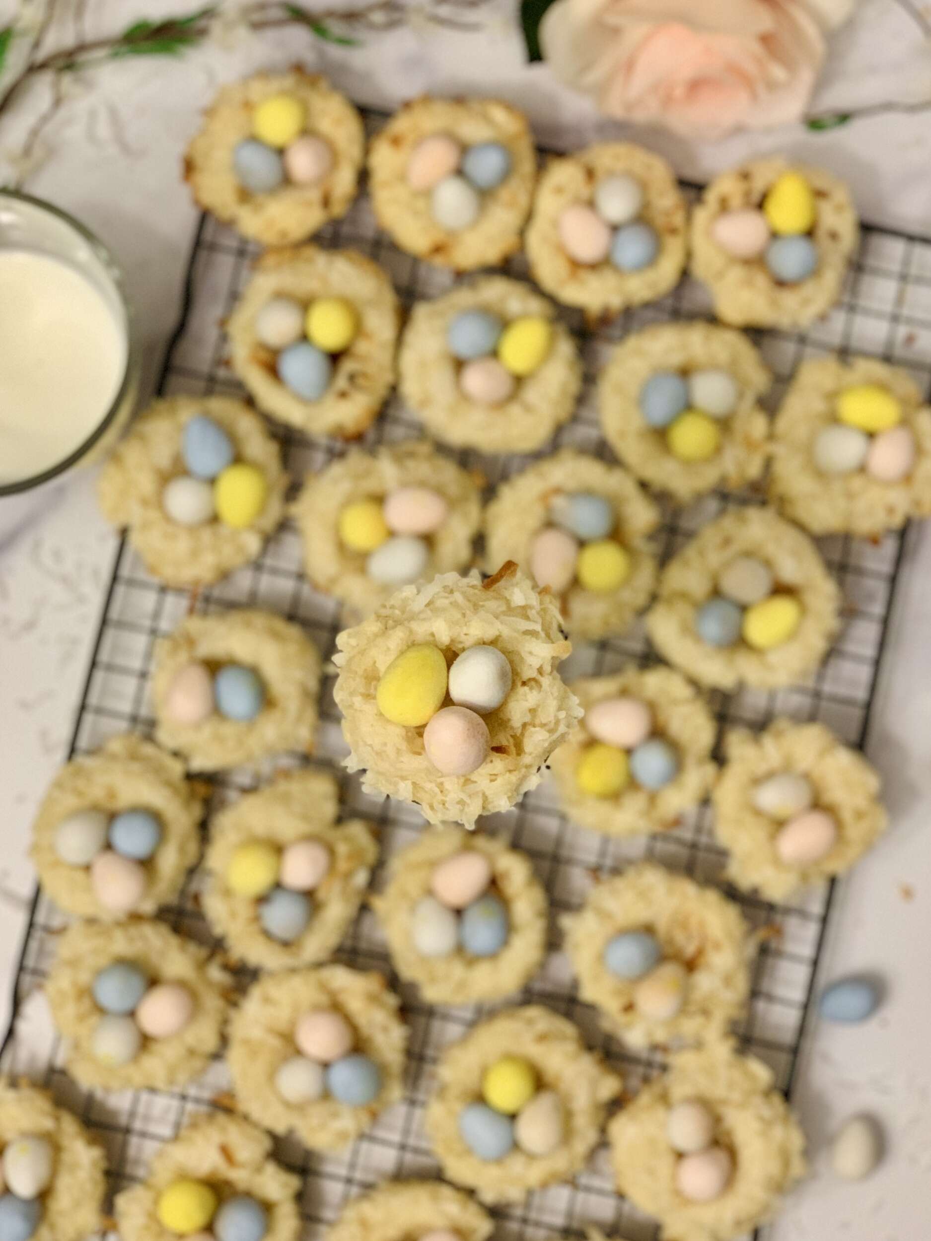Birds Nest Macaroons ~ Intensive Cake Unit